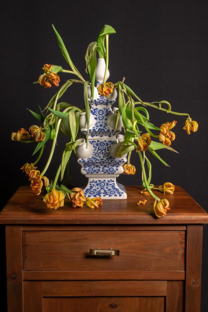 Tulpentijd in Museum Nagele - Pf Fotografie Magazine